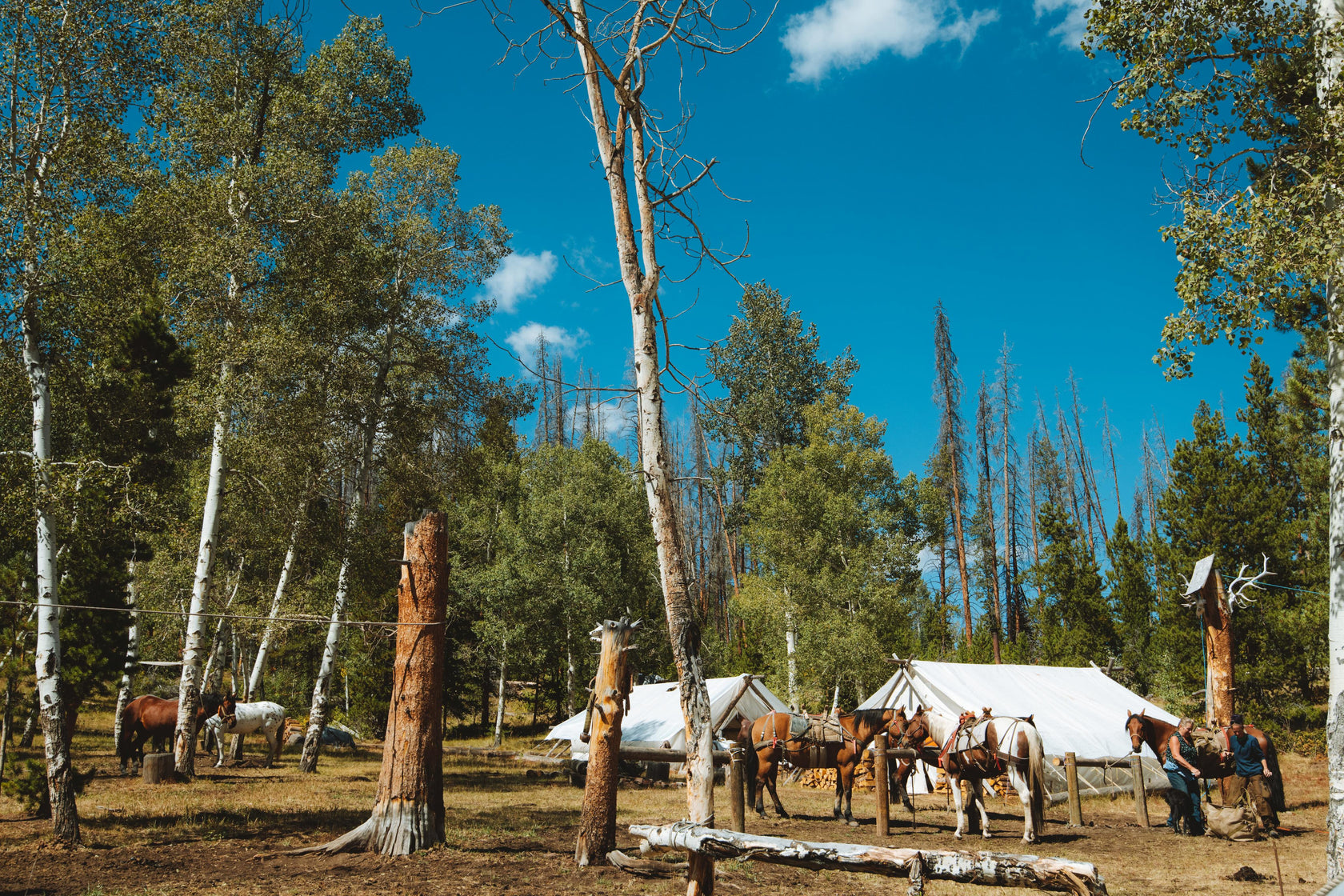 Troublesome Basin Hunting Drop Camps – Samuelson Outfitters