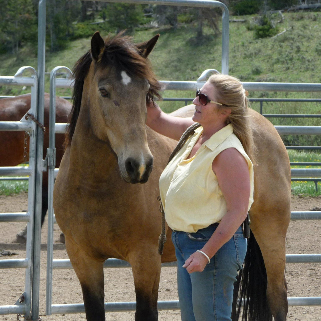 The Herd – Samuelson Outfitters